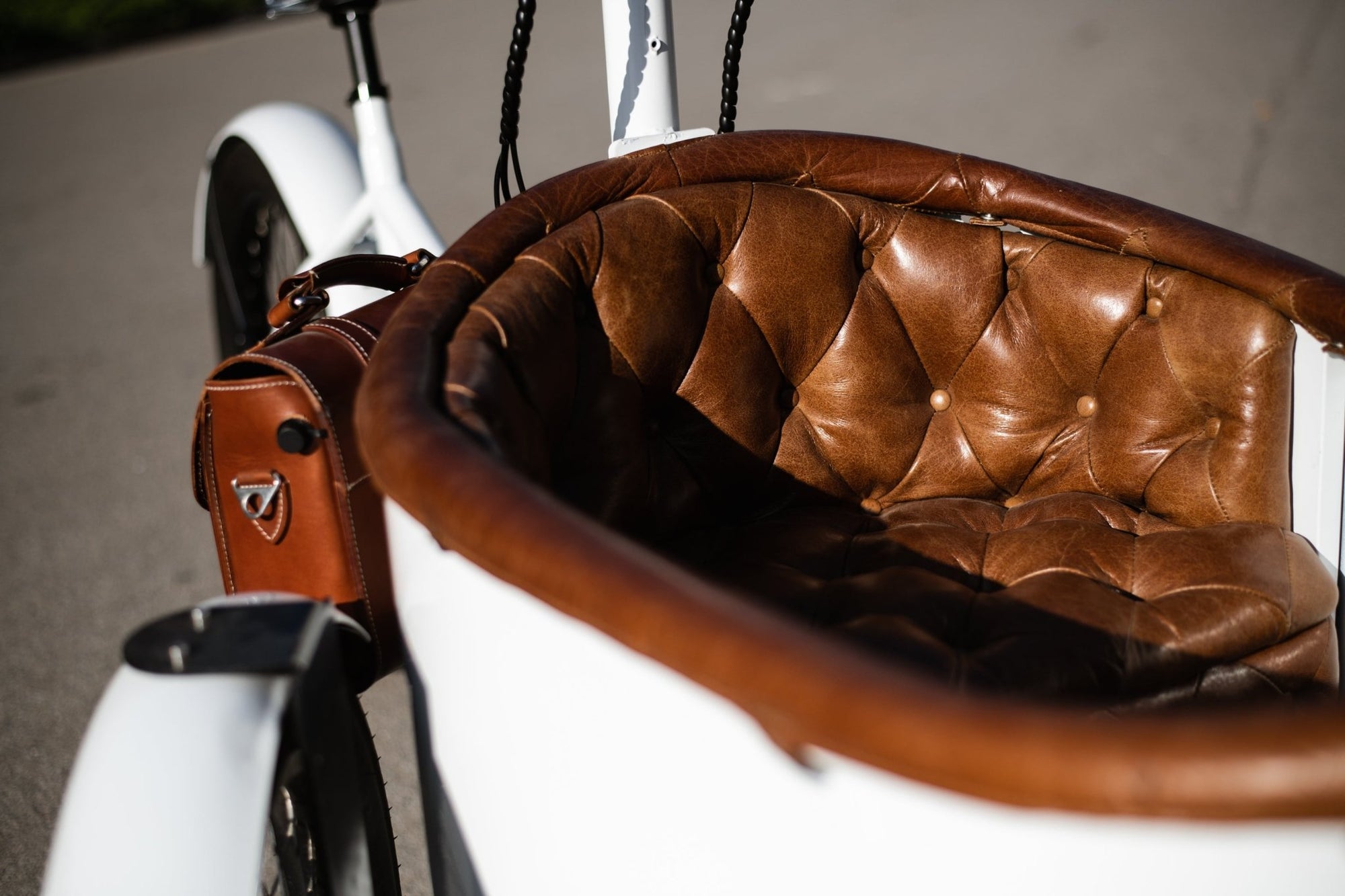 Upgraded Chester seats for Trixie