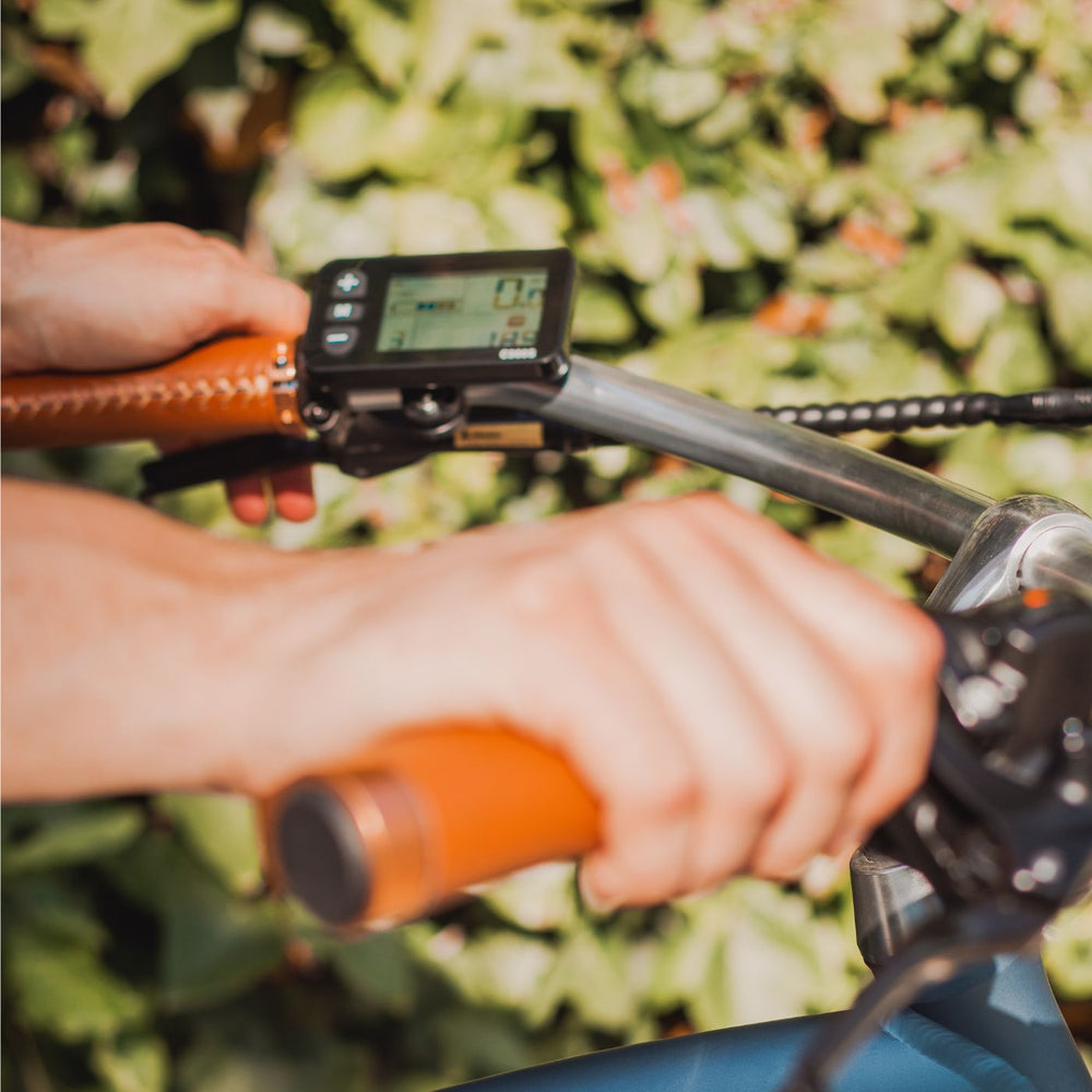 Rayvolt Beachin - Vintage Beach Cruiser E-bike for Coastal Vibes