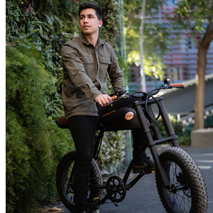 Rayvolt Ringo - Retro Electric Bicycle for Distinctive City Commutes
