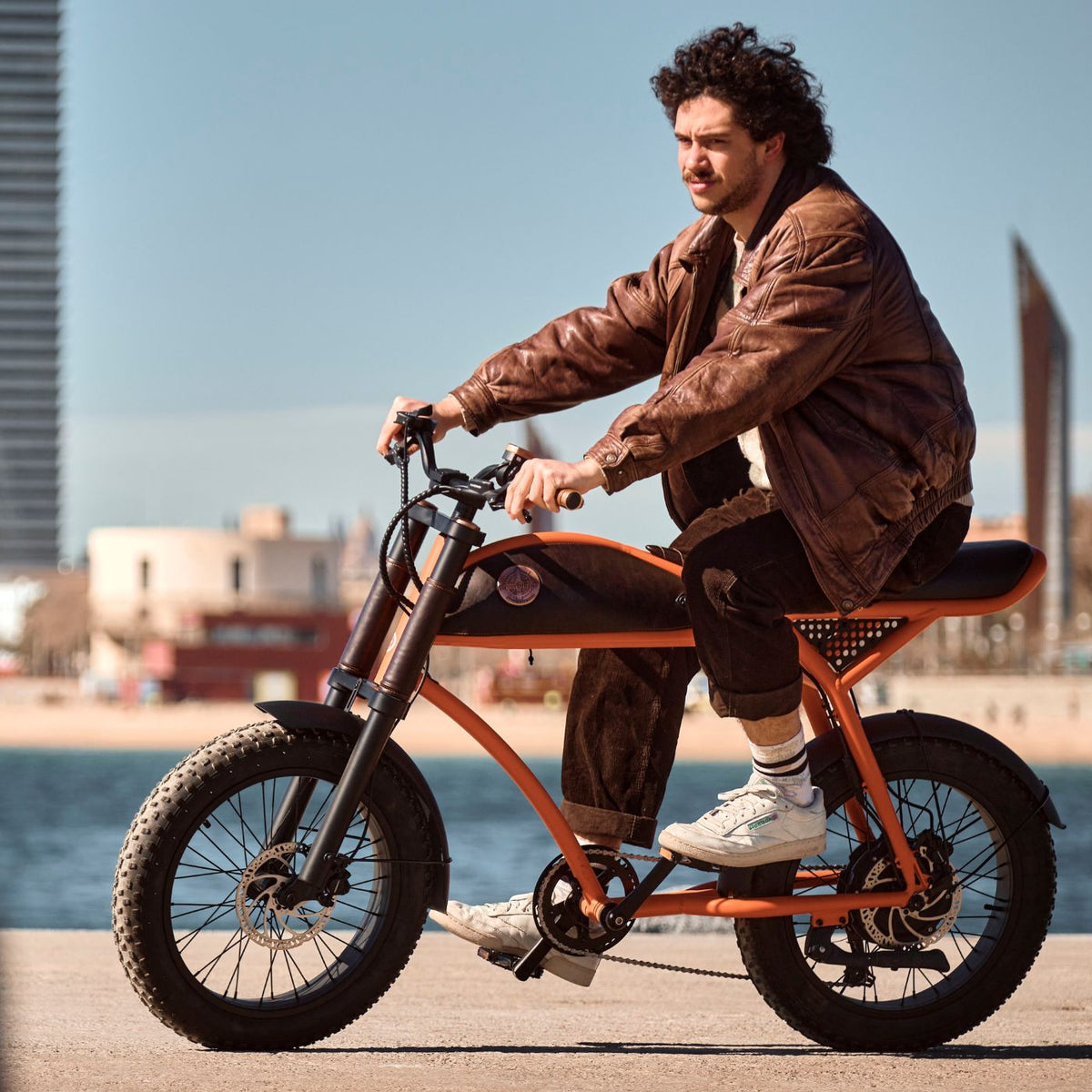 Rayvolt Ringo - Retro Electric Bicycle for Distinctive City Commutes