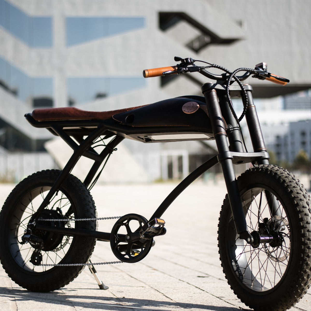 Rayvolt Ringo - Retro Electric Bicycle for Distinctive City Commutes