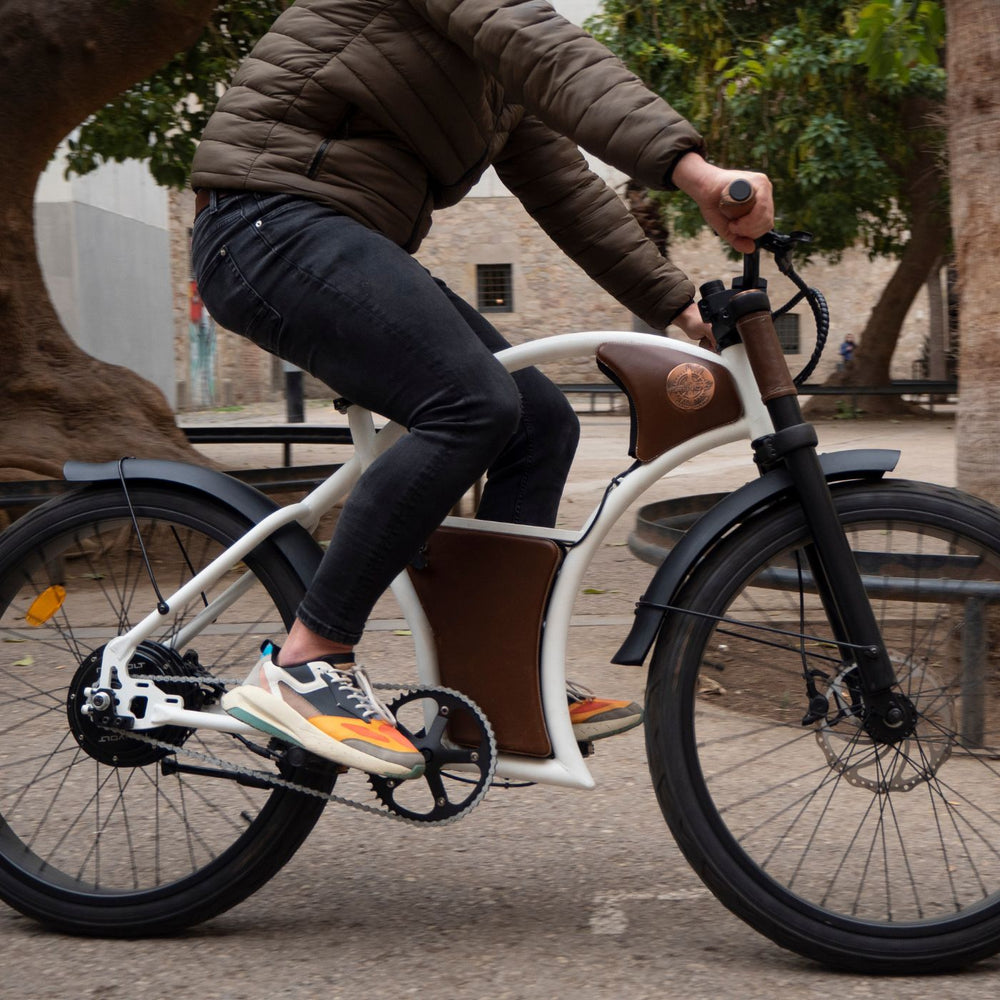Rayvolt Torino - Vintage-inspired Urban E-bike