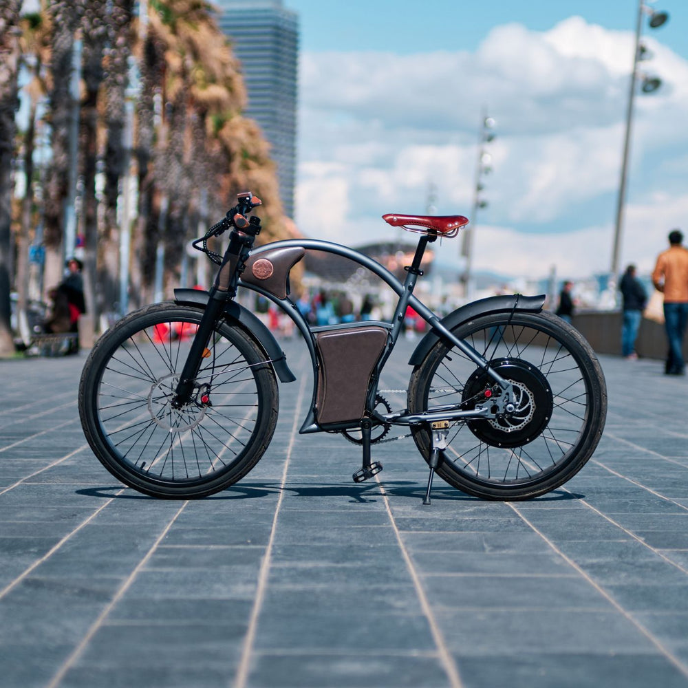 Rayvolt Torino - Vintage-inspired Urban E-bike